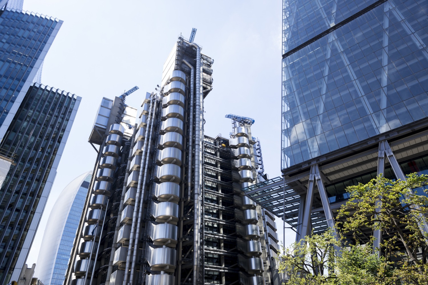 Our History - Ascot Group